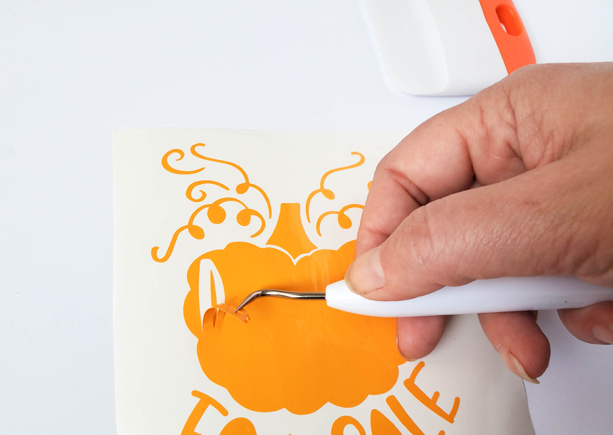 DIY Pumpkin For Sale - Cricut Vinyl Fall Project - Jav Sid