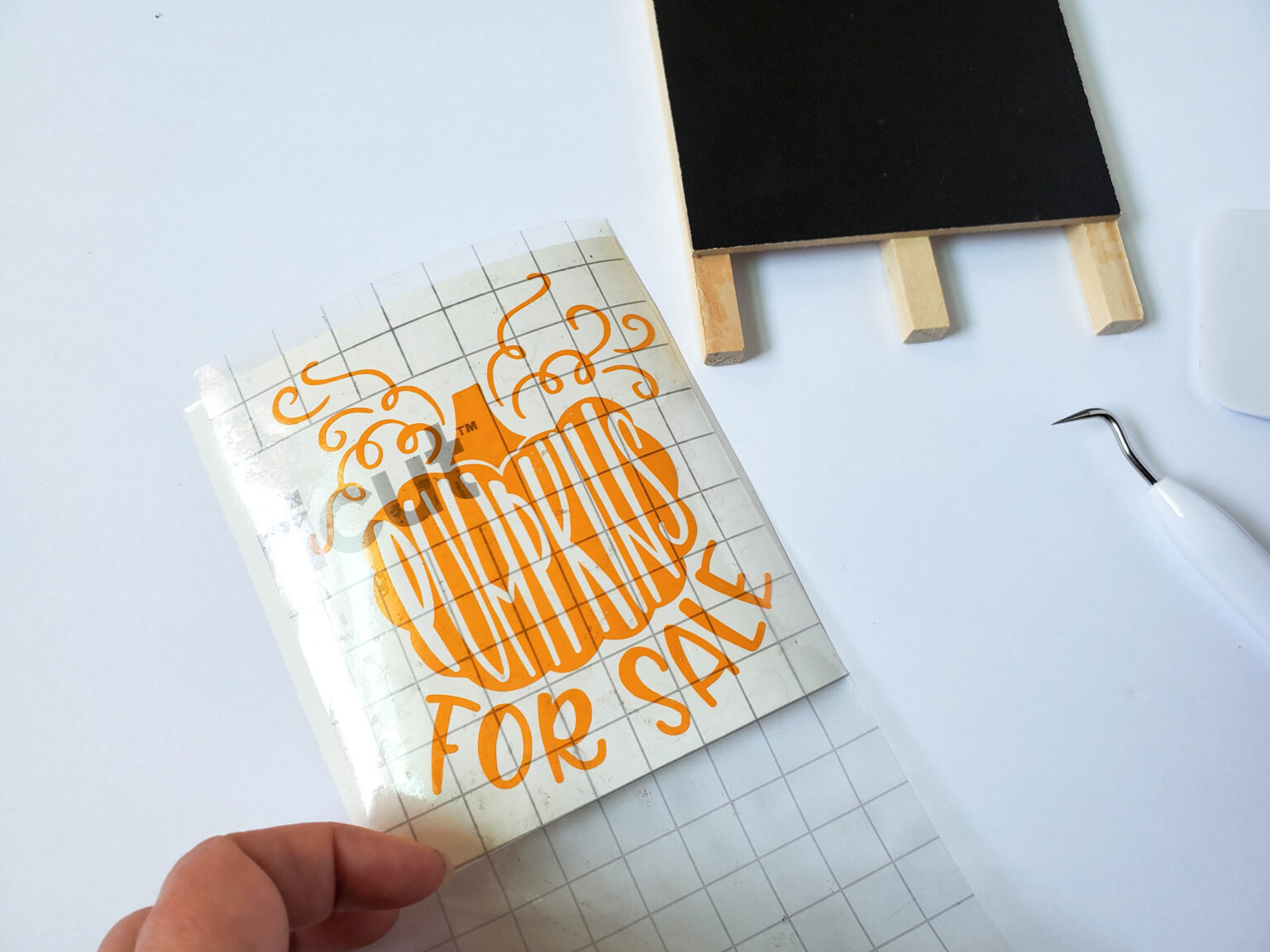 DIY Pumpkin For Sale - Cricut Vinyl Fall Project - Jav Sid